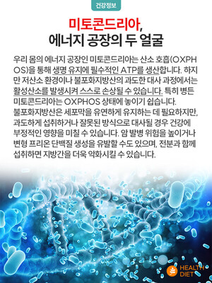 산소호흡(OXPOX) 미토콘드리아